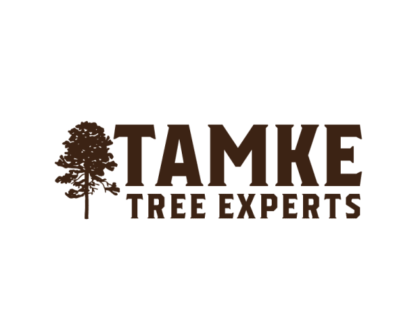 TAMKE TREE EXPERTS – Melissa Rose Design